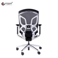 China Lower Back Project Office Chairs Ergonomic Swivel Mesh Ergo Revolving for sale