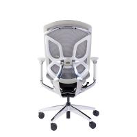 China High Back Mesh Office Chair 65mm PU Alu. Base With Lumbar Support for sale