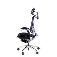 China Ergo Mesh Adjustable Office Chair Lumbar Manager Mid Back Ergonomic for sale