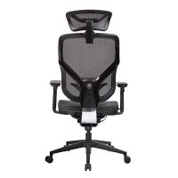 China Vida Mesh Back Ergonomic Office Chair 3D Paddle Lumbar Support Adjustable Arms Swivel for sale