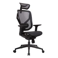 China Vida Mesh Back Ergonomic Office Chair 3D Paddle Lumbar Support Adjustable Arms Swivel for sale