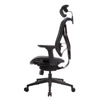 China Vida Mesh Back Ergonomic Office Chair 3D Paddle Lumbar Support Adjustable Arms Swivel for sale