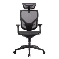 China Vida Mesh Back Ergonomic Office Chair 3D Paddle Lumbar Support Adjustable Arms Swivel for sale