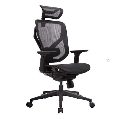 China Nylon Base Ergonomic Office Chair 55mm PA Lumbar Support Adjustable Arms for sale
