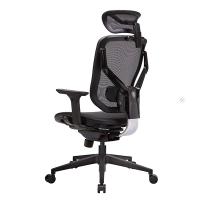 China Nylon Base Ergonomic Office Chair 55mm PA Lumbar Support Adjustable Arms for sale