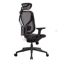China Nylon Base Ergonomic Office Chair 55mm PA Lumbar Support Adjustable Arms for sale