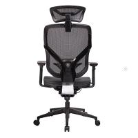 China Nylon Base Ergonomic Office Chair 55mm PA Lumbar Support Adjustable Arms for sale