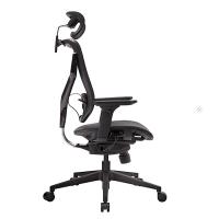 China Nylon Base Ergonomic Office Chair 55mm PA Lumbar Support Adjustable Arms for sale