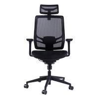 China Adjustable Ergo Desk Mesh Back Office Chair Project Lumbar Support With Headrest for sale