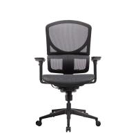 China Isee M Ergonomic Office Chair Mesh Desk Adjustable Back Lumbar Support for sale