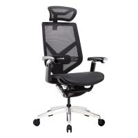 China Full Mesh Swivel Ergonomic Executive Chair 5D Paddle Mesh Back Office for sale