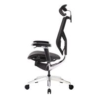 China Full Mesh Swivel Ergonomic Executive Chair 5D Paddle Mesh Back Office for sale
