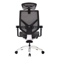 China Full Mesh Swivel Ergonomic Executive Chair 5D Paddle Mesh Back Office for sale