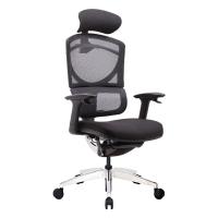 China Mesh Back Ergonomic Office Chair Survival Height Adjustable Foam Seat for sale