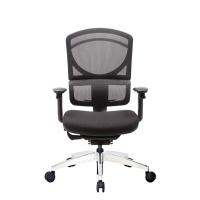 China Middle Back PA Ergonomic Office Chair Comfortable Lumbar Support Black for sale