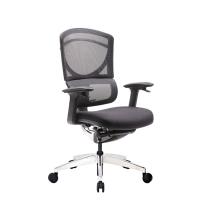 China Middle Back PA Ergonomic Office Chair Comfortable Lumbar Support Black for sale