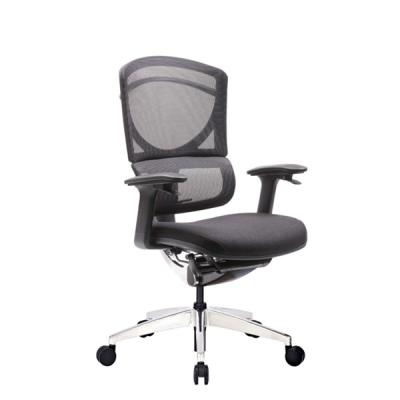 China Middle Back PA Ergonomic Office Chair Comfortable Lumbar Support Black for sale