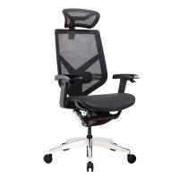 China Ergonomic High Back Mesh Office Chair​ 4D Paddle Swivel With Headrest for sale