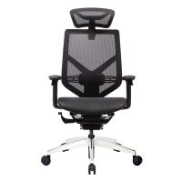 China 3D Swivel High Back Mesh Office Chair​ Ergonomic Polished Aluminum for sale
