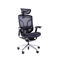 China Ergonomic Lumbar Support Chair Height Adjustable Mid Back Staff Office for sale