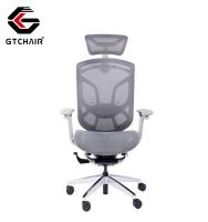 China Dvary Project Office Ergonomic Chairs Butterfly Backrest Height Adjustable for sale