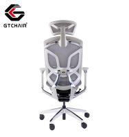 China Dvary Project Office Ergonomic Chairs Butterfly Backrest Height Adjustable for sale