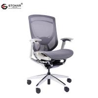 China Lower Back Ergonomic Office Chairs Lumbar Support Polished Mesh Rolling for sale