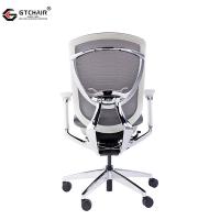 China Lower Back Ergonomic Office Chairs Lumbar Support Polished Mesh Rolling for sale