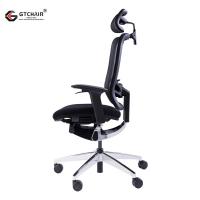 China Ergonomic Mesh Adjustable Office Chair Lumbar Support Executive With Headrest for sale
