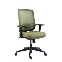 China Ergo Lumbar Support Office Chair Green Mesh Mid Back Swivel for sale