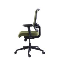 China Ergo Lumbar Support Office Chair Green Mesh Mid Back Swivel for sale