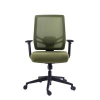 China Ergo Lumbar Support Office Chair Green Mesh Mid Back Swivel for sale