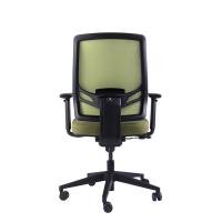China Ergo Lumbar Support Office Chair Green Mesh Mid Back Swivel for sale