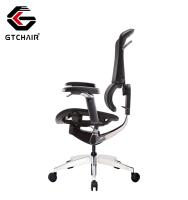 China Ergonomic Project Office Chair Adjustable Lumbar Support Swivel Mesh for sale