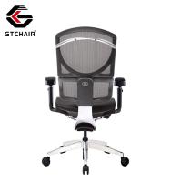 China Ergonomic Project Office Chair Adjustable Lumbar Support Swivel Mesh for sale