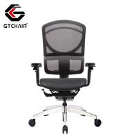 China Ergonomic Project Office Chair Adjustable Lumbar Support Swivel Mesh for sale