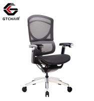 China Ergonomic Project Office Chair Adjustable Lumbar Support Swivel Mesh for sale