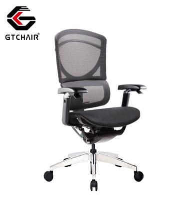 China Ergonomic Project Office Chair Adjustable Lumbar Support Swivel Mesh for sale