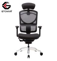 China Ergonomic Mesh Back Office Chair 65mm With Lumbar Support High Back for sale