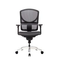China GTCHAIR ISEE M Mid Back Ergonomic Lumbar Support Chair Office Mesh Rolling Height Adjustable for sale