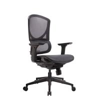 China Ergonomic Online Office Chairs 4D Arms Executive Mesh Lumbar Support for sale