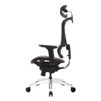 China Ergonomic Project Office Chairs 55mm PA Castor Computer High Back for sale