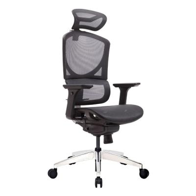 China Ergonomic Project Office Chairs 55mm PA Castor Computer High Back for sale