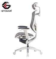 China GTCHAIR IVINO X Swivel Office Lumbar Support Ergonomic Chairs Mesh Ergo Grey for sale
