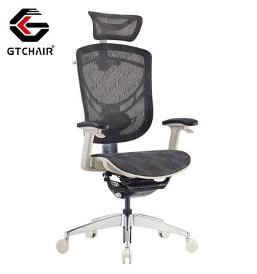 China GTCHAIR IVINO X Swivel Office Lumbar Support Ergonomic Chairs Mesh Ergo Grey for sale