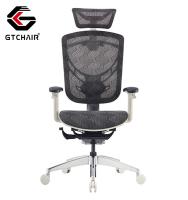 China GTCHAIR IVINO X Swivel Office Lumbar Support Ergonomic Chairs Mesh Ergo Grey for sale