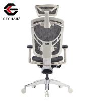 China GTCHAIR IVINO X Swivel Office Lumbar Support Ergonomic Chairs Mesh Ergo Grey for sale