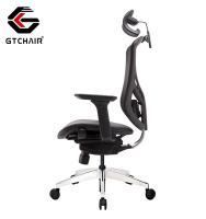 China GTCHAIR IVINO M Ergonomic High Back Mesh Office Chair 65mm With Lumbar Support for sale