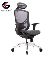 China GTCHAIR IVINO M Ergonomic High Back Mesh Office Chair 65mm With Lumbar Support for sale