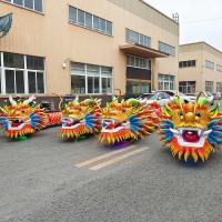 China Custom Chinese Dragon Electric Train for Theme Parks 350W 100kg Load for sale